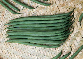 clause-home-garden :: Vegetables